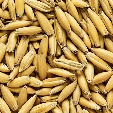 Malted Oats 2-4 EBC 1kg Simpsons Malt BBE - Melkkobrew